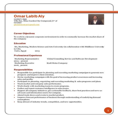 CV - Omar Labib Aly - 2015 | DOCX