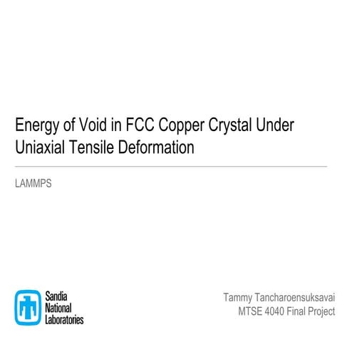 4040 Presentation LAMMPS Tammy docx | PPT