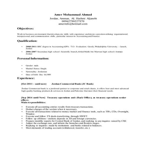 Amer Ahmad CV | DOCX