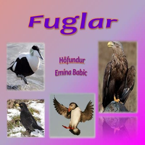 Fuglar (Emína) | PPT