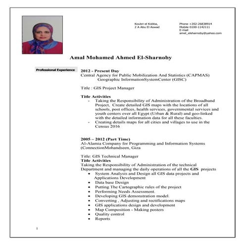 Amal Mohamed-CV | PDF | Civil Engineering Industry | Industries