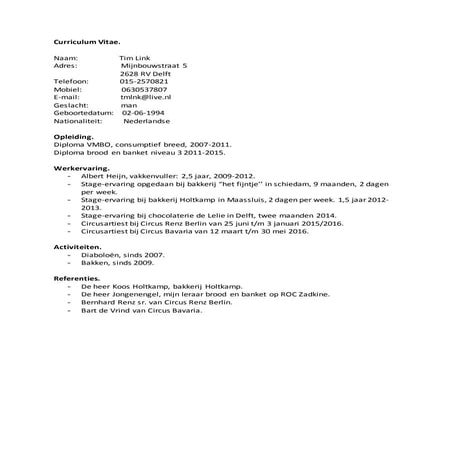 Curriculum Vitae Tim Link | DOCX