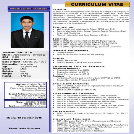 CV internasional Piesco 2 | PDF