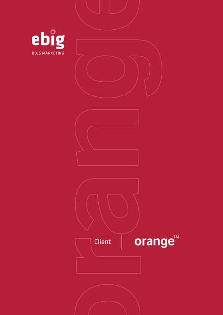 EBIG.ENEL.Studiu satisfactie clienti | PDF