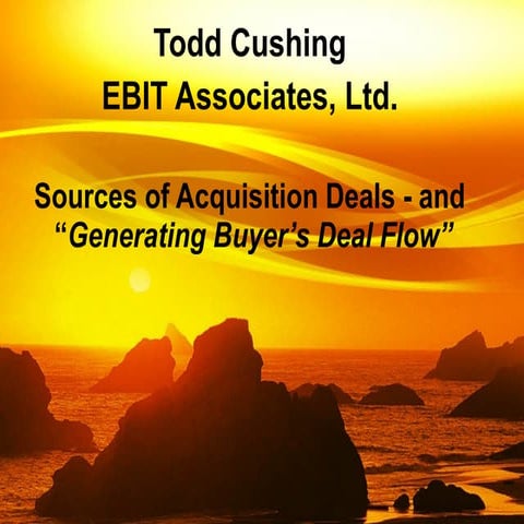 Ebit Buyer Presentation | PPT | Free Download