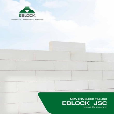 Eblock profile english(cs trang 6 | PDF
