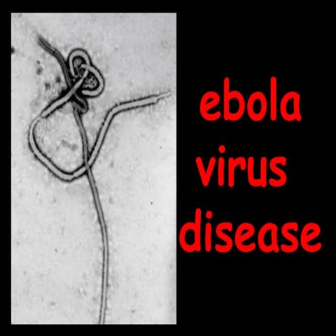 Ebola | PPTX