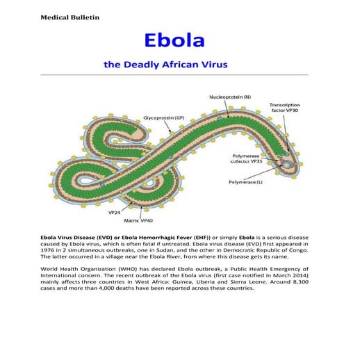 Ebola Presentation | PPTX