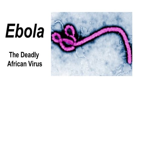 Ebola | PPT