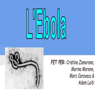 Ebola 2 | PPT