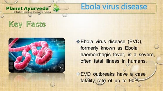 Ebola | PPT | Infectious Diseases | Diseases and Conditions