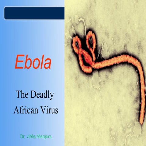 Ebola ppt | PPT