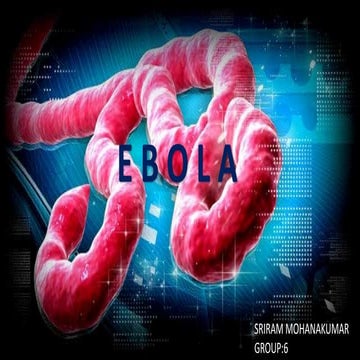 Ebola | PPT