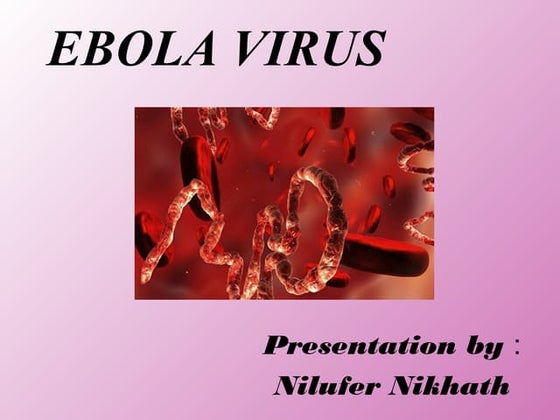 Ebola virus ppt | PPTX