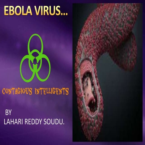 Ebola virus | PPT