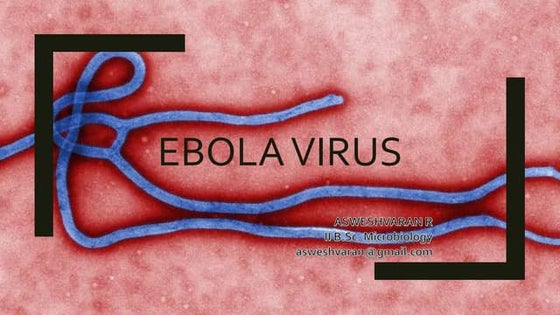 Ebola virus ppt | PPTX