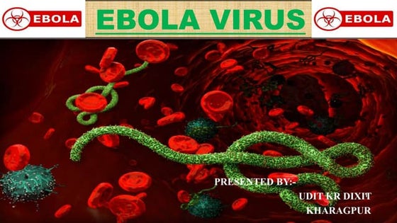 Ebola virus ppt | PPT
