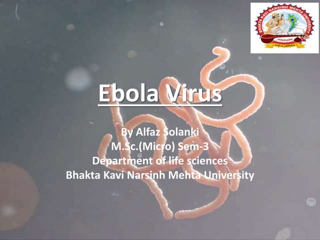 Ebola virus ppt | PPTX