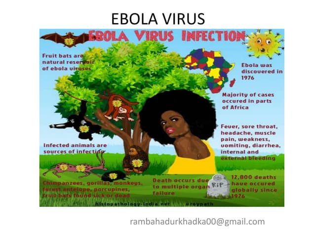 Ebola virus ppt | PPTX