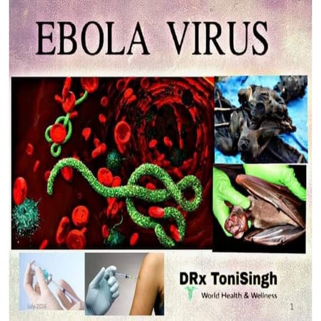 Ebola Virus | PPT