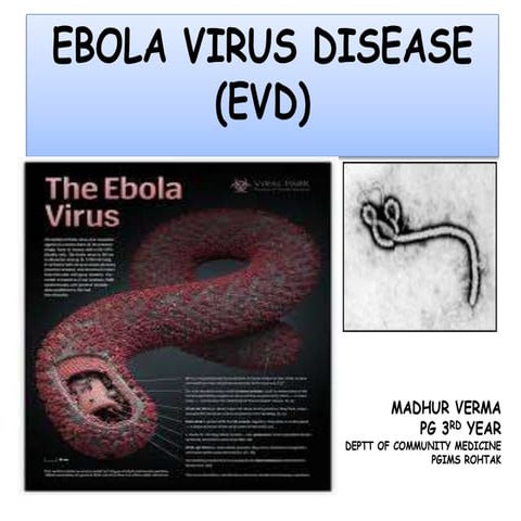 Ebola virus ppt | PPTX