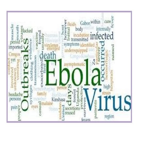 Ebola virus main | PPT