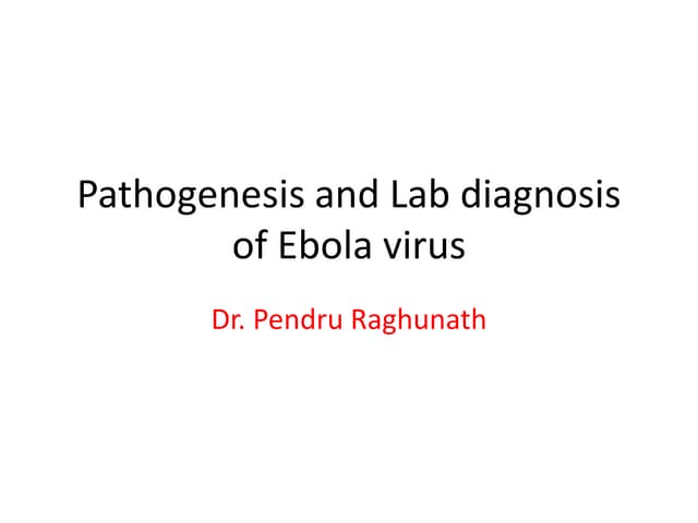 Immunoglobulins | PPT