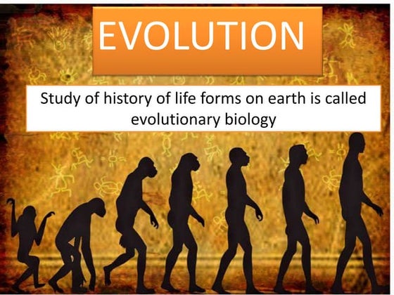 EVOLUTION Class XII Biology based on NCERT text book .pptx | Genetics ...