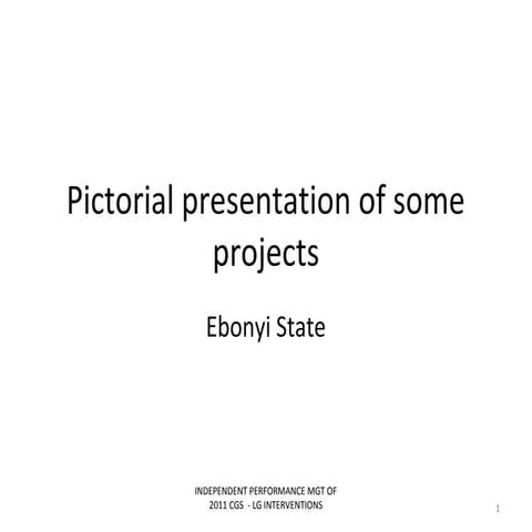 Niger 1 sample pictorial presentation of some projects (niger) | PPTX