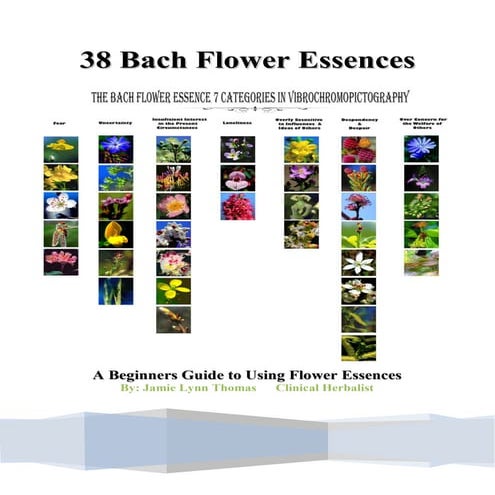 E book 38 bach flower essences - a beginners guide to using the flower ...