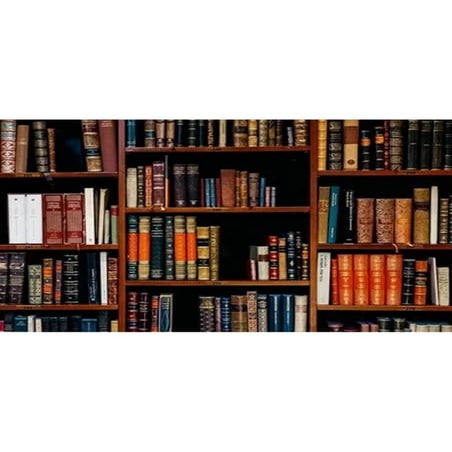 The Book Thief | PDF