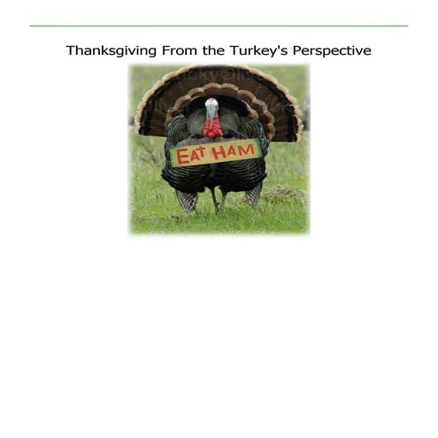 Thanksgiving from a Turkey's Perspective! | PDF