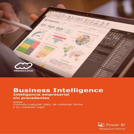 eBook business intelligence | PDF