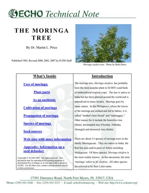 MORINGA OLEIFERA PRESENTATION.pptx