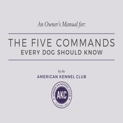The 5 Basic Commands Every Dog Should Know | PDF