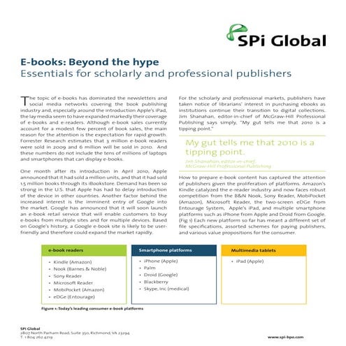 E-Books Beyond The Hype | PDF