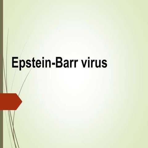 EBV.ppt