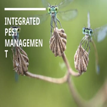 IPM:- Integrated Pest Management | PPTX