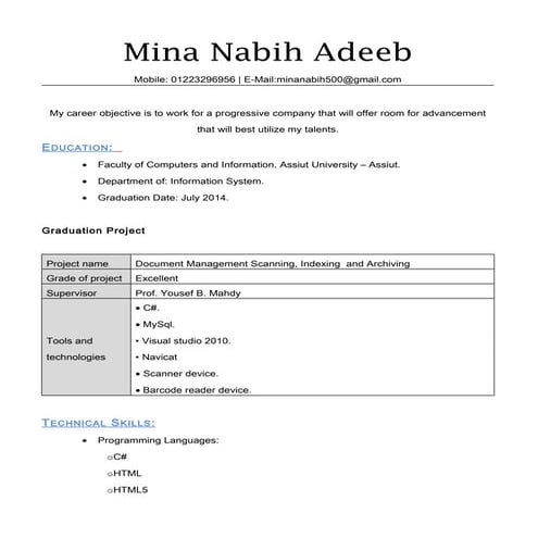 En Mina CV | PDF