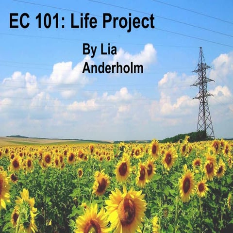 Ec 101 presentation | PPTX