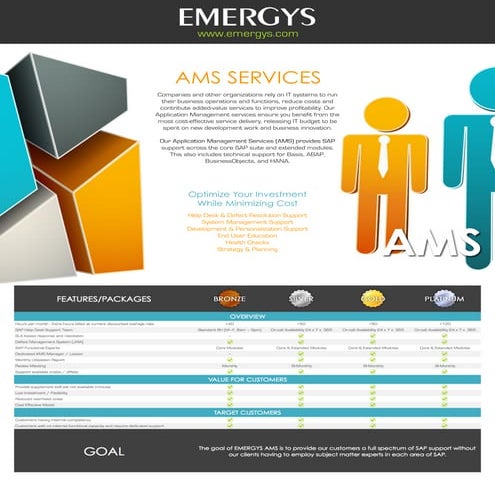AMS-Doc (NoPrice) v1 | PDF