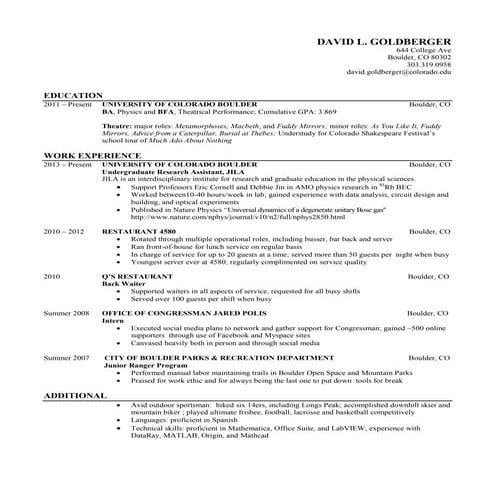 DAVID GOLDBERGER resume | PDF