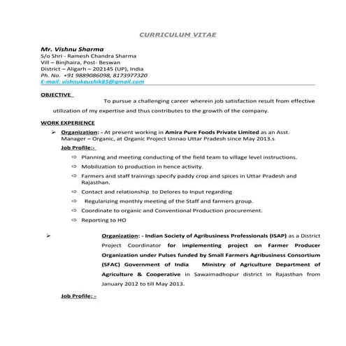 Vishnu Resume | DOC