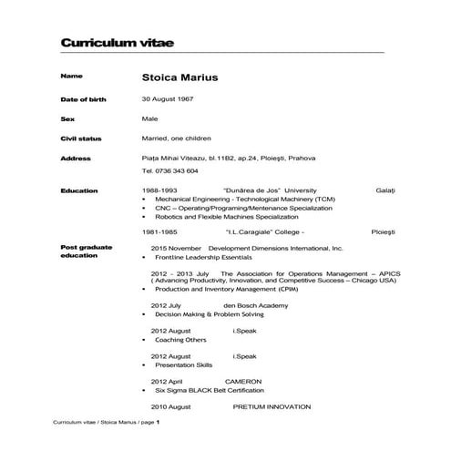 Professional Resume Marius | DOC