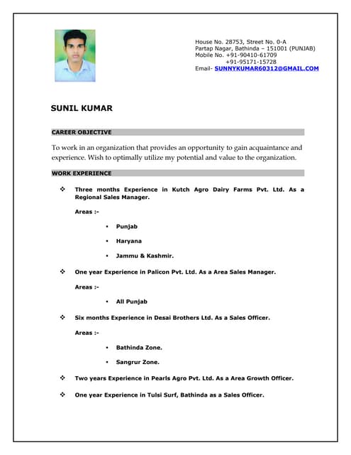 KISHORE Resume | DOC | Sales | Business