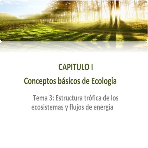 flujo de energía en ecosistemas (mediante cadenas y redes tróficas) | PPT