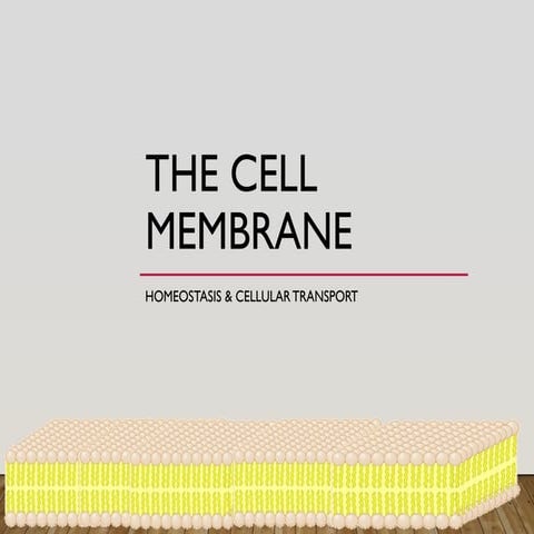 EC Cell Transport Lesson 15 Biology.pptx