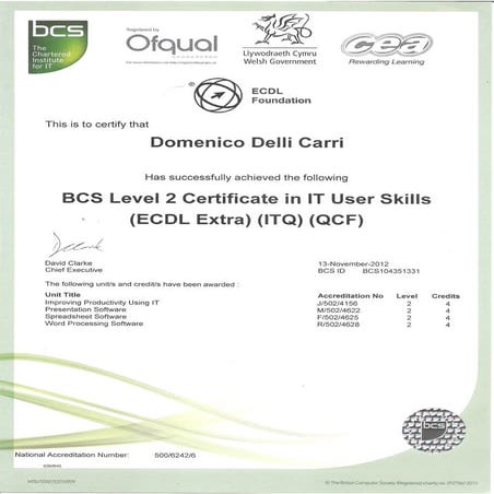 BCS Level 2 Certificate in IT User Skills | PDF