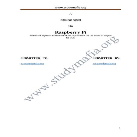 Raspberry Pi Report Pdf 