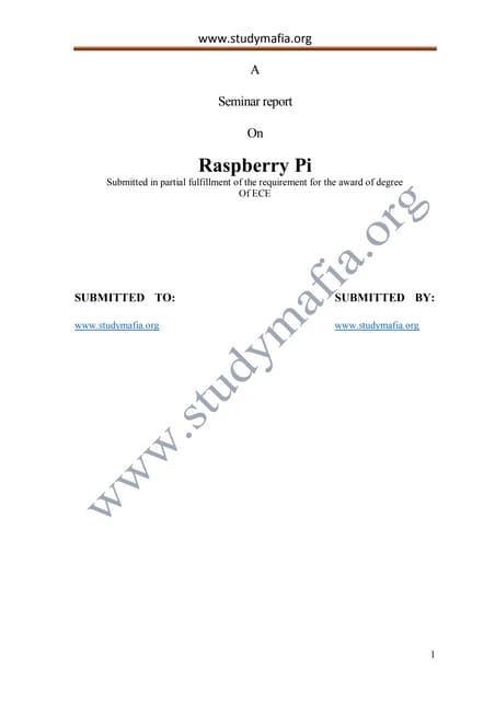 Raspberry Pi Report Pdf